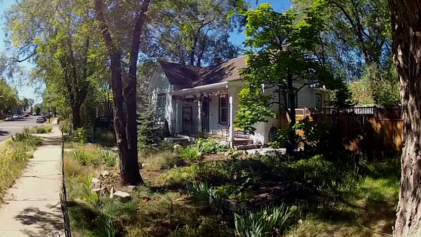 Overgrown Front Yard