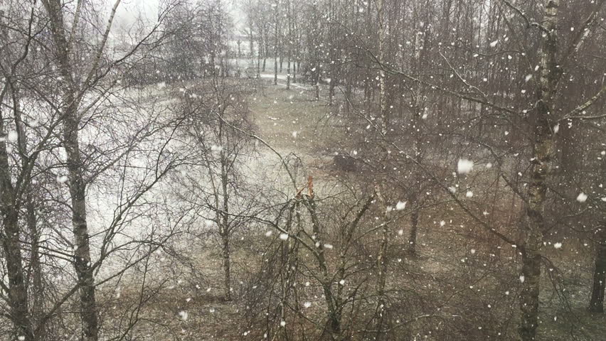 Storm Seen Through The Window, With Big Rain Drops, Hdv, 1080i Stock ...