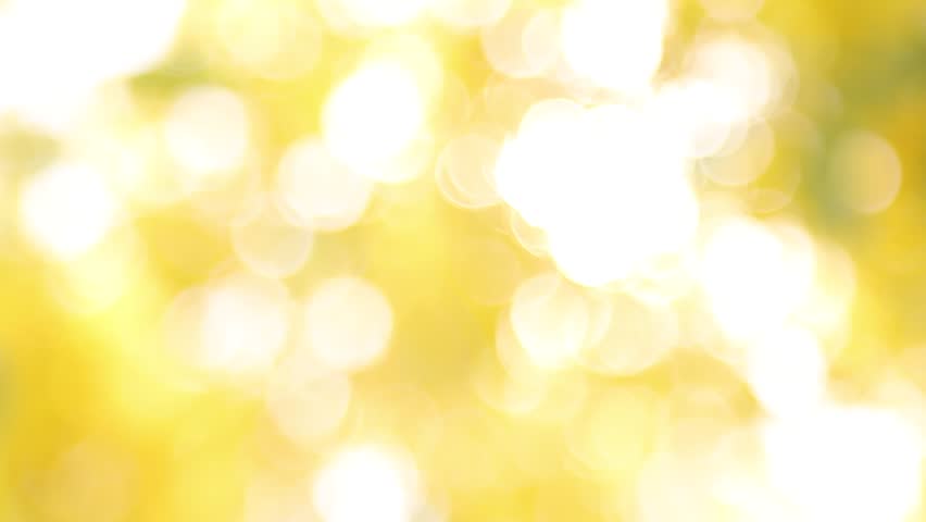 Yellow Bokeh Background, Yellow Color 스톡 동영상 비디오(100% 로열티프리) 9888740 ...